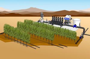 What is fertigation? Benefits and applications