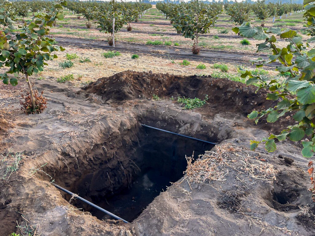 Benefits of automated drip irrigation