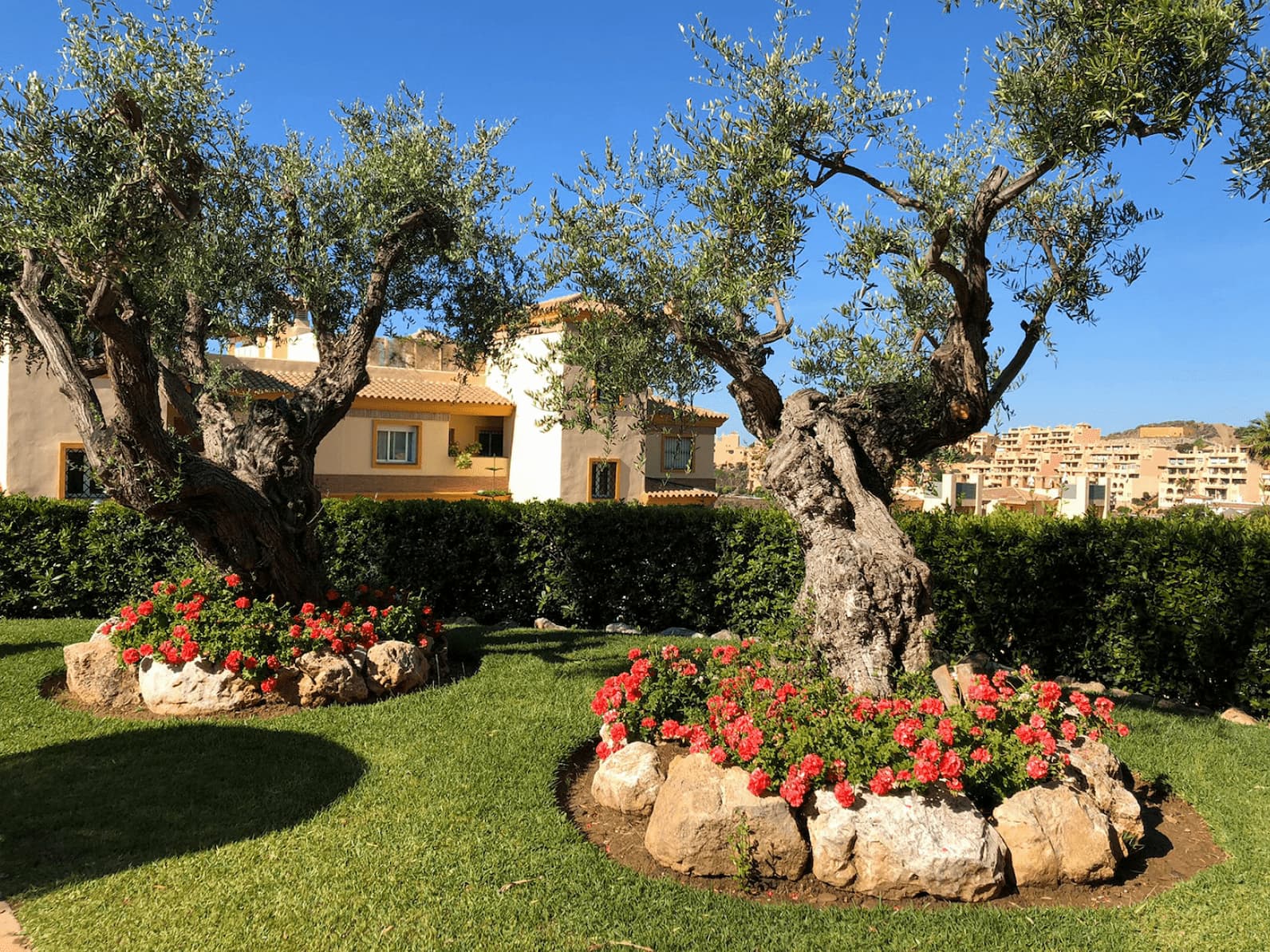 Subsurface Drip Irrigation and digital management in gardening and ...