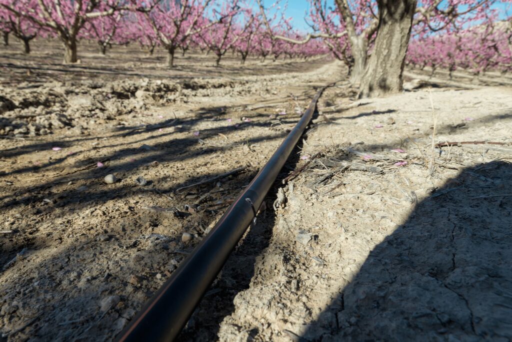 What is fertigation? Benefits and applications