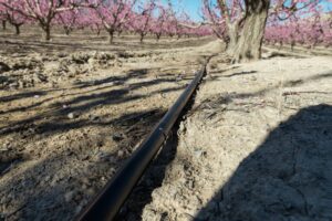 What is fertigation? Benefits and applications