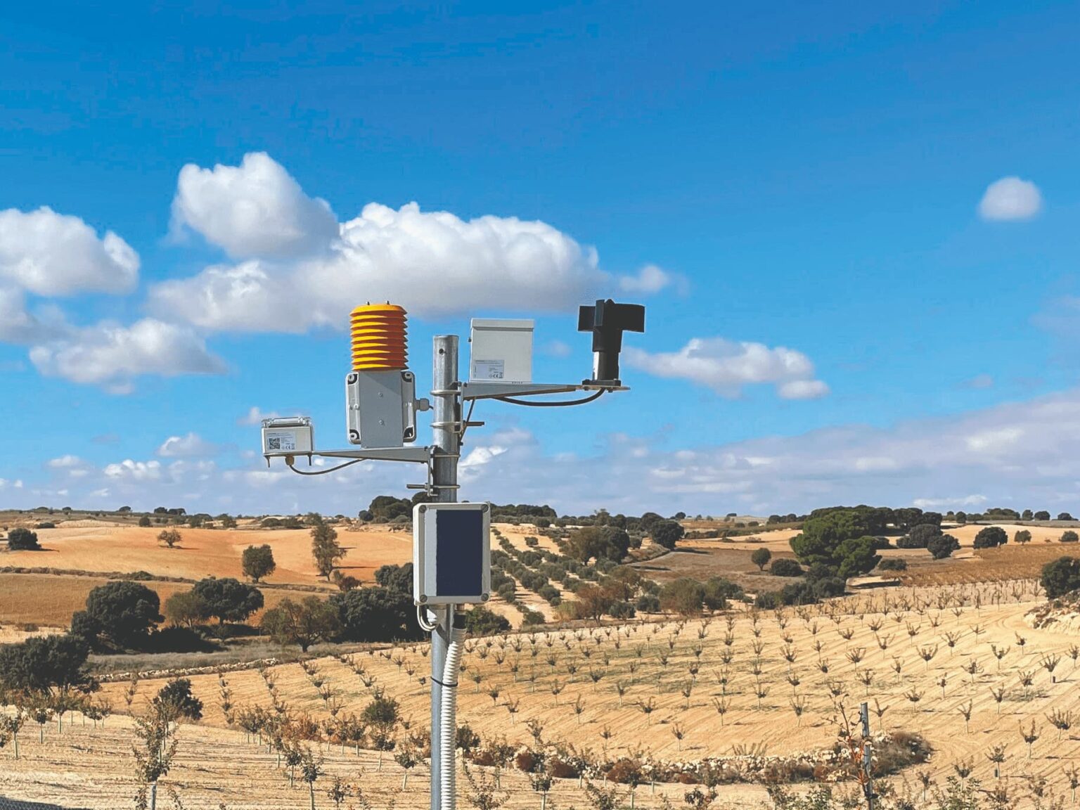 Benefits of automated drip irrigation